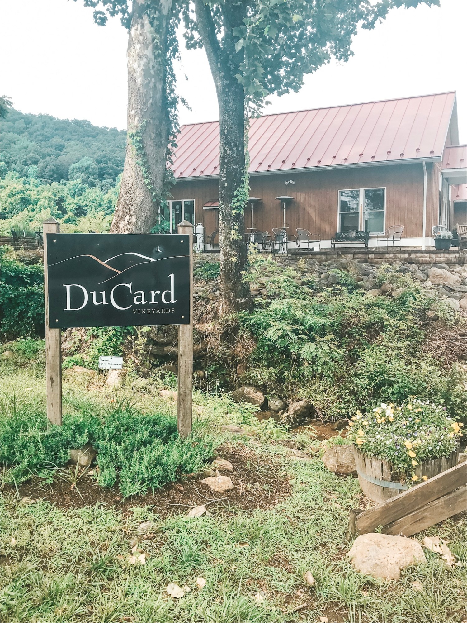 Sharp Rock – Old Rag – Sips and Trips with Paige